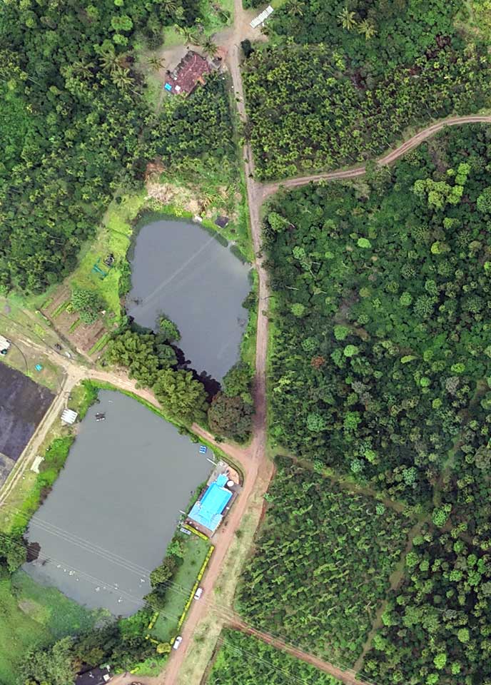 Whistling Woods | Farm Plots - Delight Eco Farms